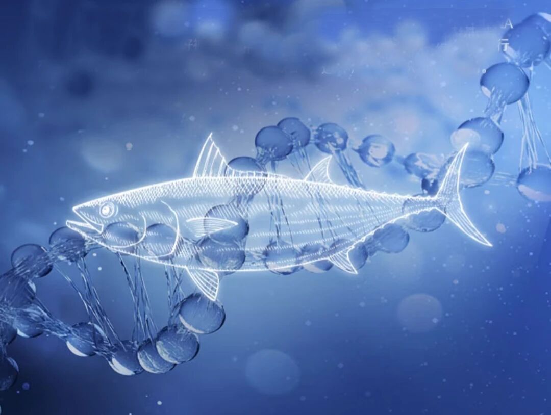 从医美到大众护肤，新品扎堆的PDRN技术如何破局？丨科技新生力 - C2CC传媒